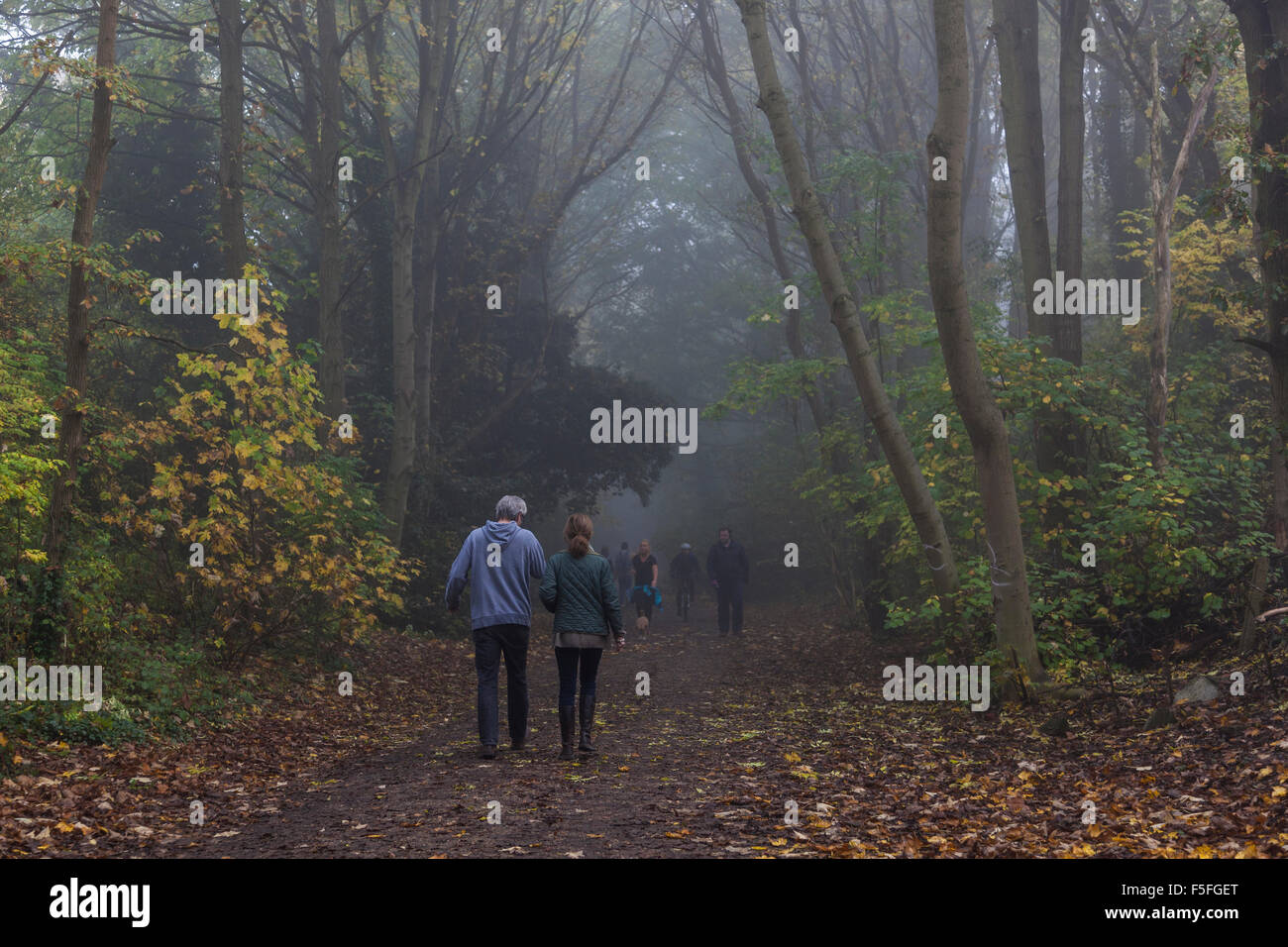Parkland Walk in Highgate on a misty morning, London, UK Stock Photo ...