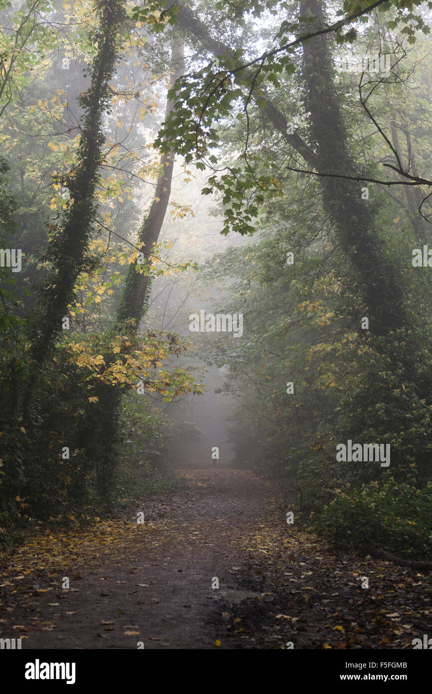 Parkland Walk in Highgate on a misty morning, London, UK Stock Photo ...