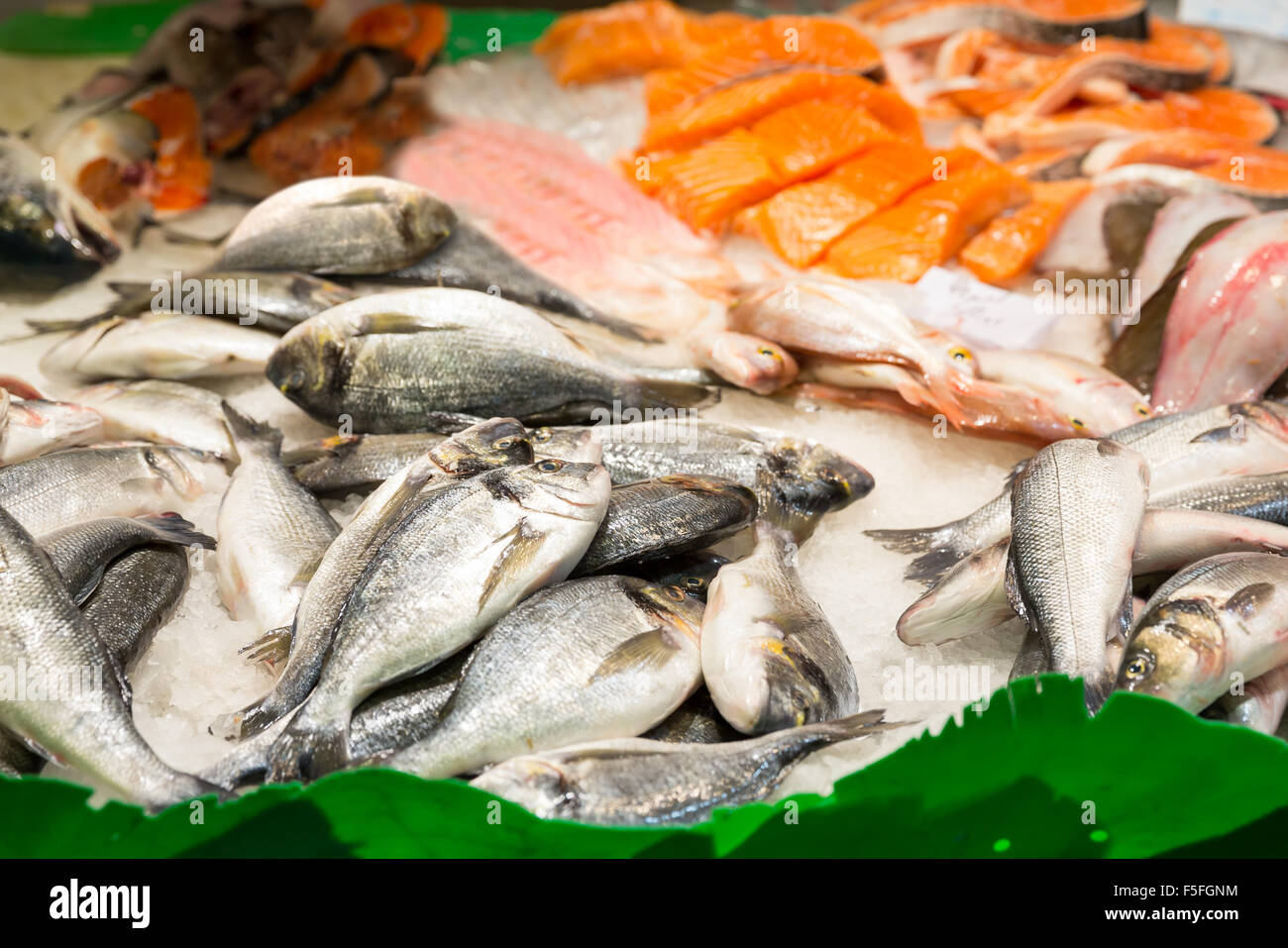 Assorted animals hi-res stock photography and images - Alamy