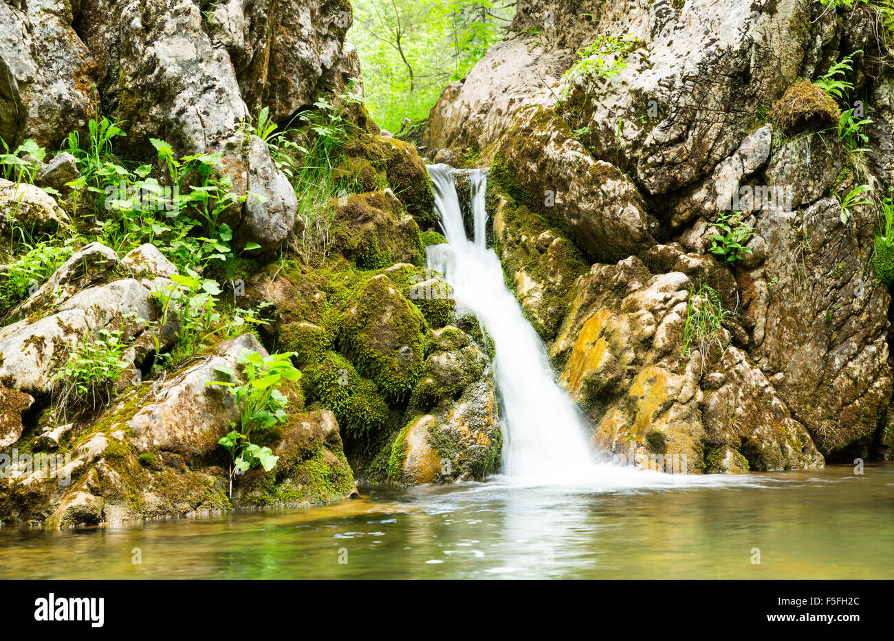 Waterfall in the forest of Montenegro Stock Photo - Alamy
