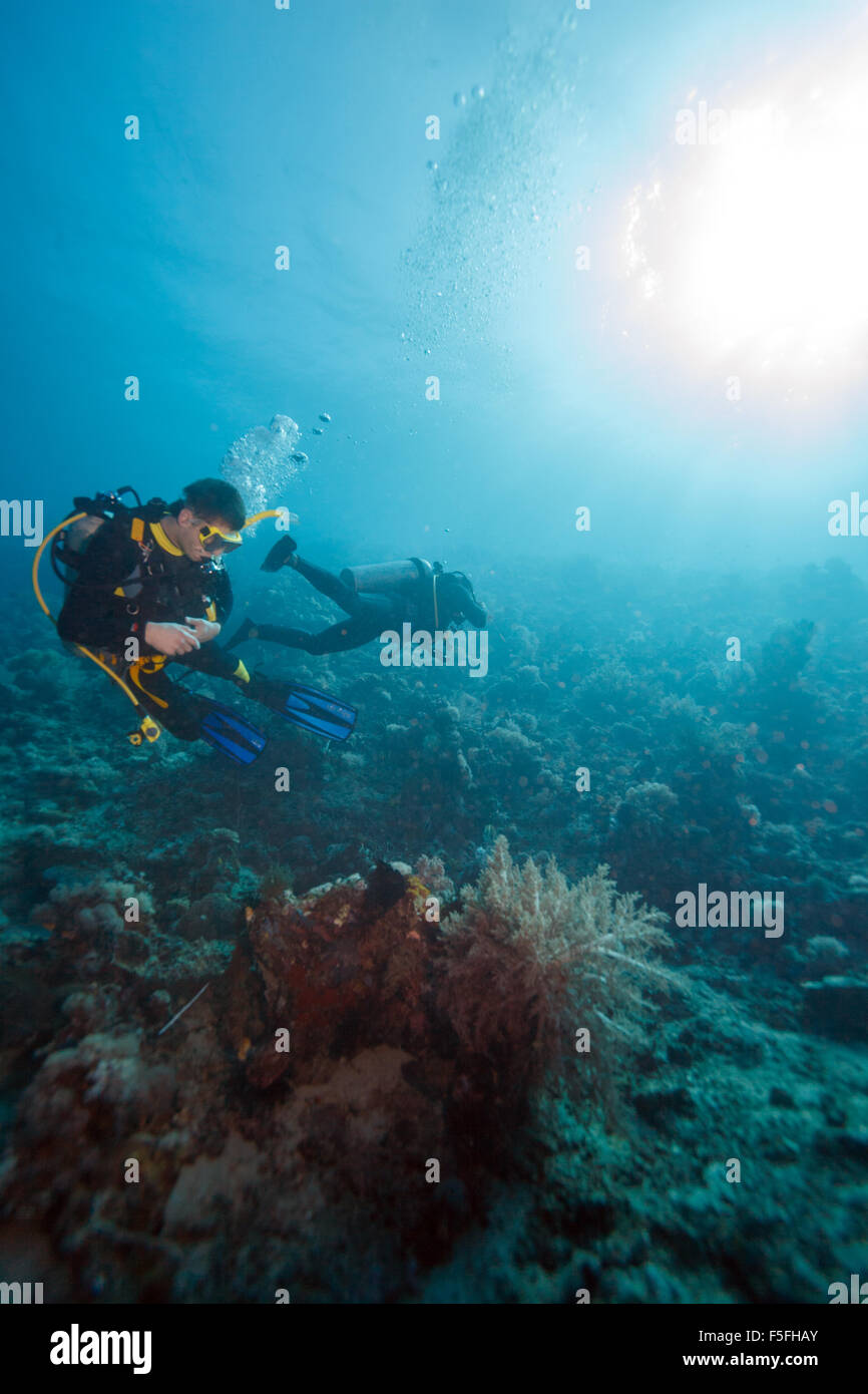 Divers at the bottom hi-res stock photography and images - Alamy