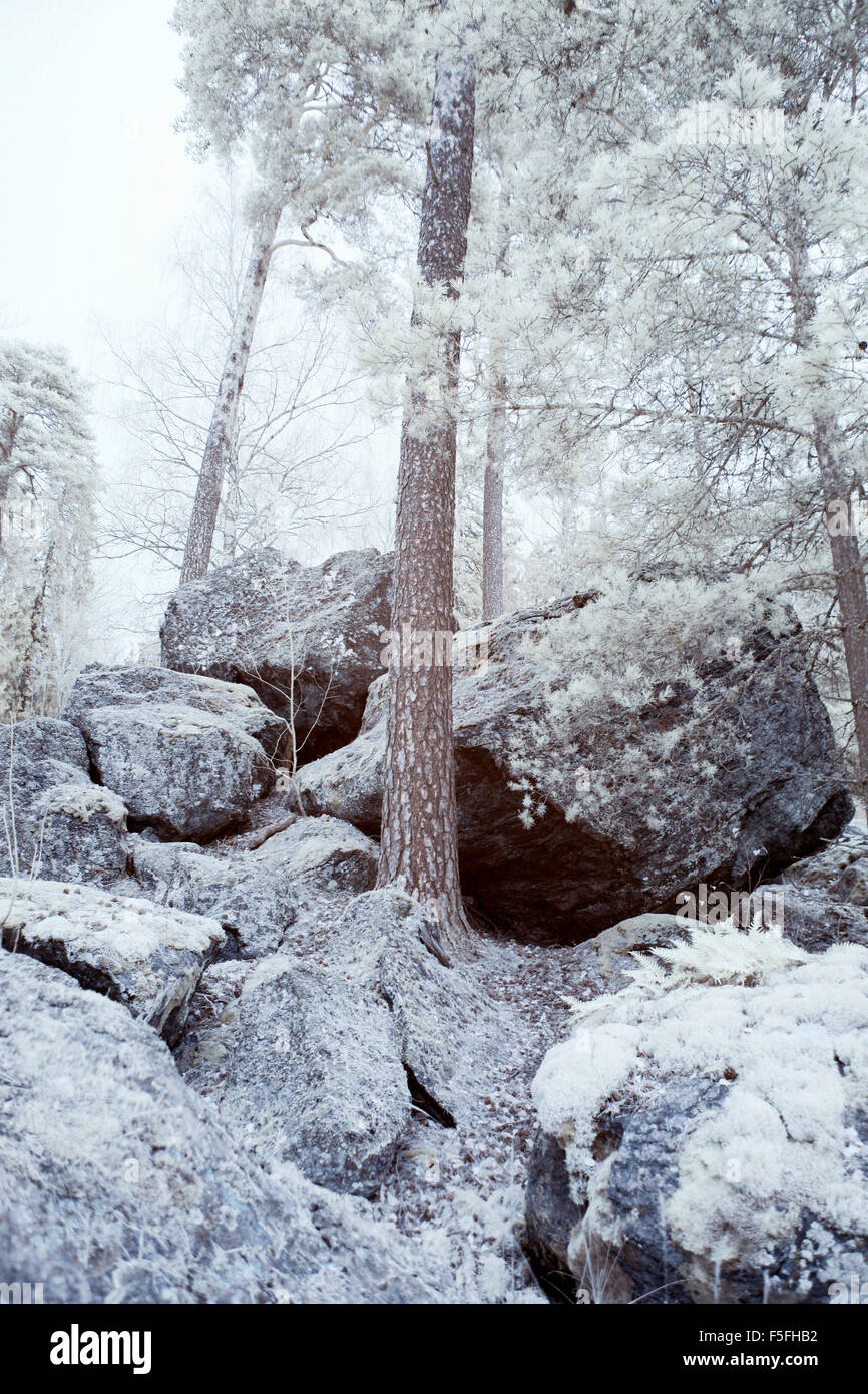Stenhammar Castle High Resolution Stock Photography and Images - Alamy