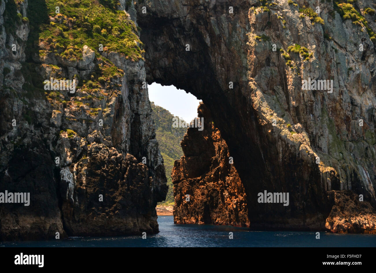 Archway Island, Tawhiti Rahi, Poor Knights Islands nature reserve, Bay of Islands, North Island ...