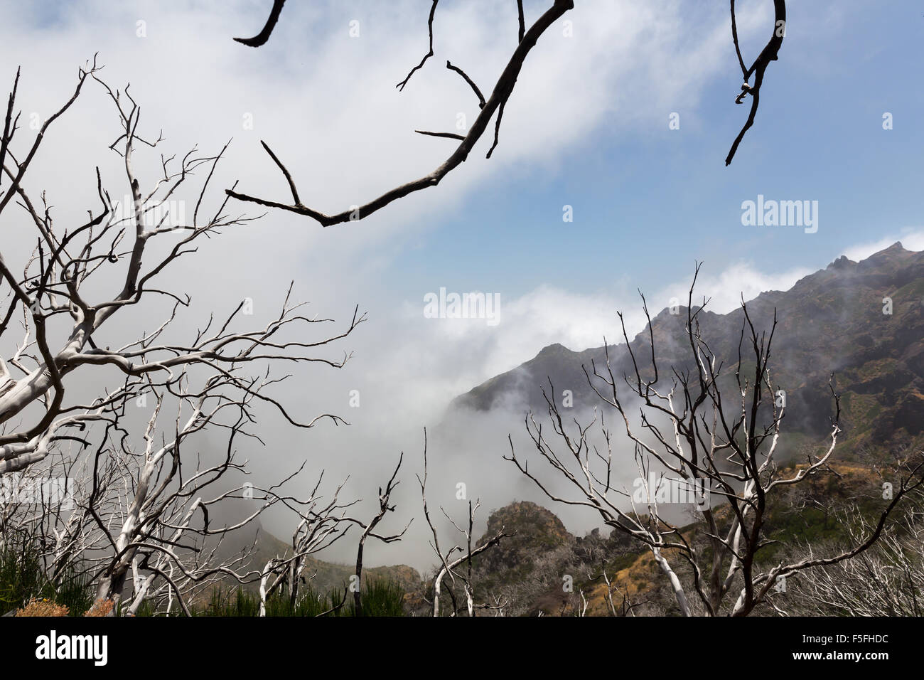 Obscure view hi-res stock photography and images - Alamy