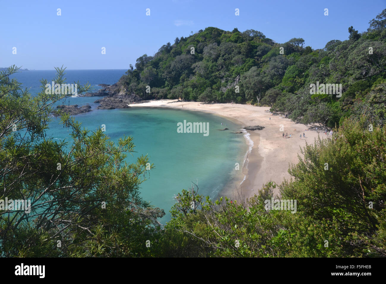 Whale bay, new zealand hi-res stock photography and images - Alamy