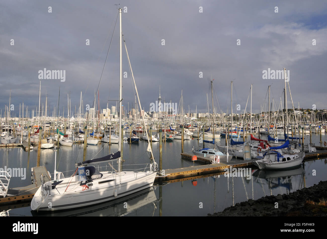 Sailboats at Auckland Marina, New Zealand Stock Photo - Alamy