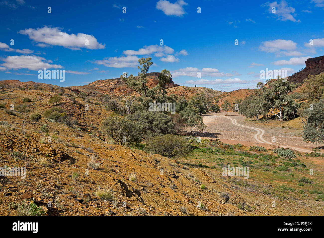 Spectacular outback landscape in Flinders Ranges, riverbed track ...