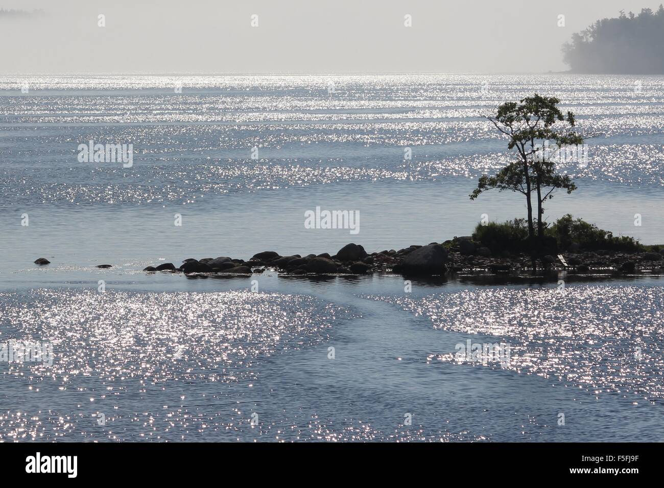 Martins river hi-res stock photography and images - Alamy