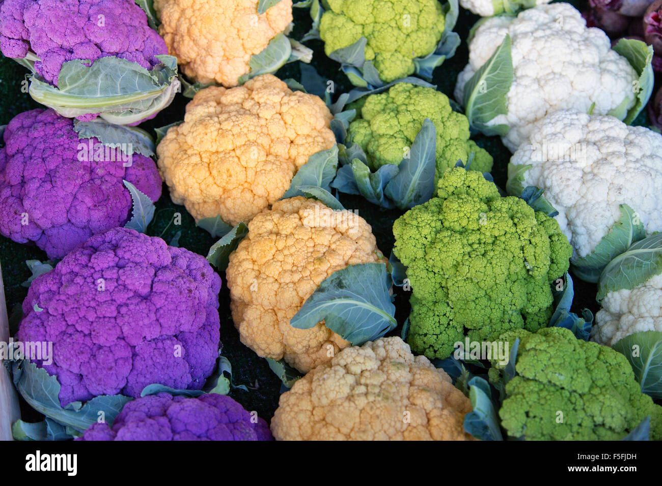 Purple orange green hi-res stock photography and images - Alamy