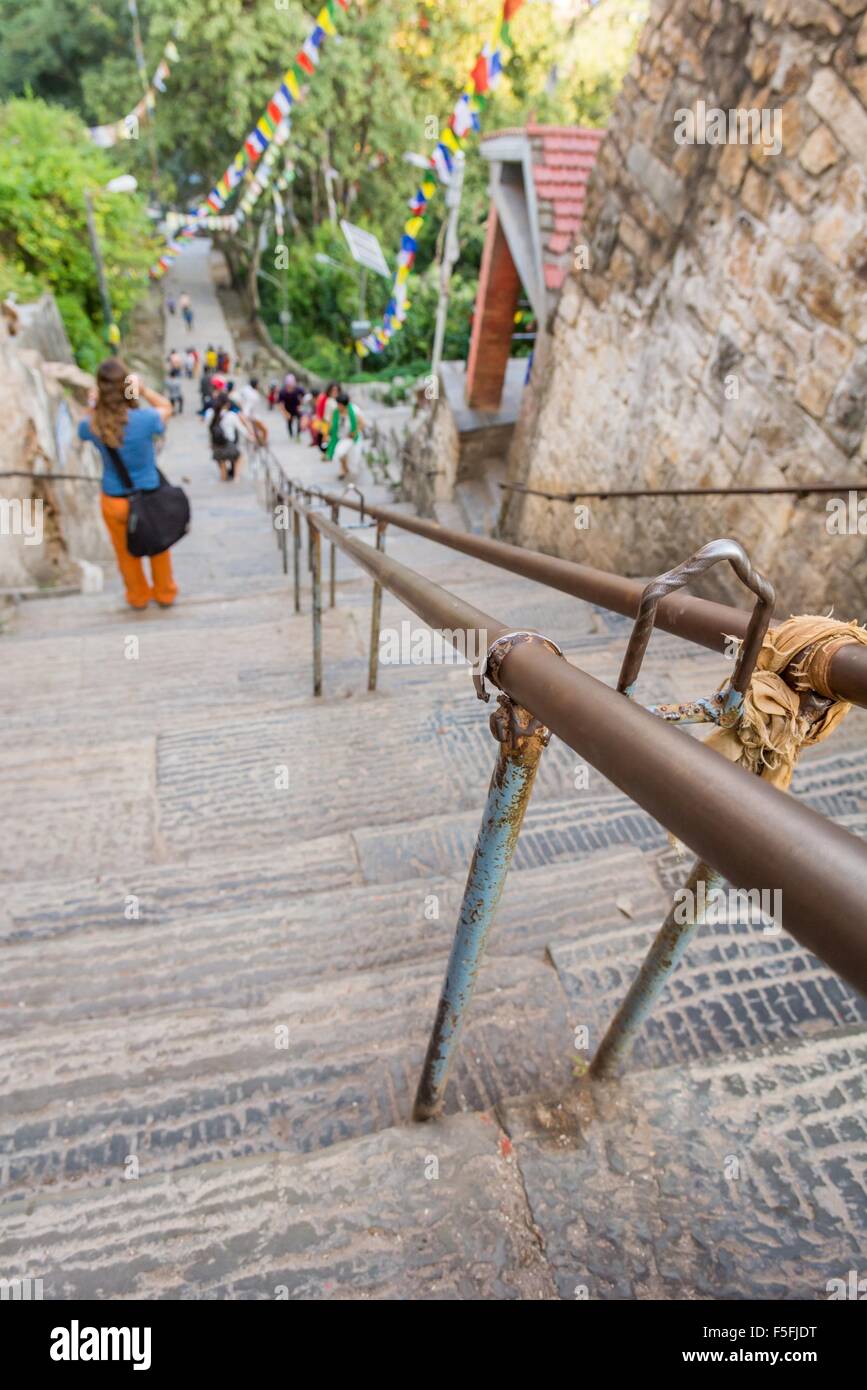 Monkey Staircase High Resolution Stock Photography and Images - Alamy