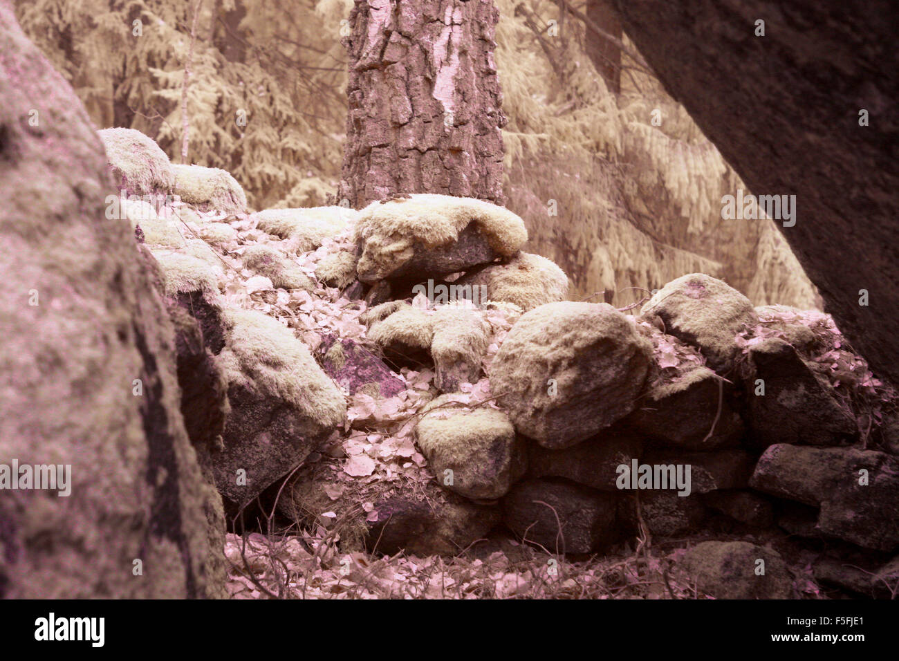 Stenhammar Castle High Resolution Stock Photography and Images - Alamy