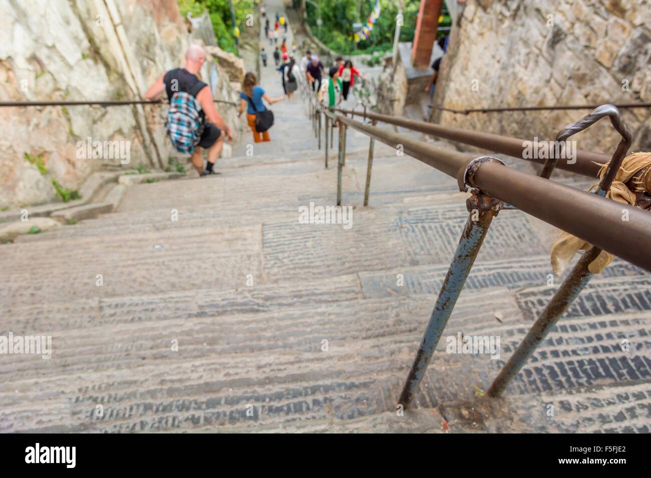 Monkey Staircase High Resolution Stock Photography and Images - Alamy