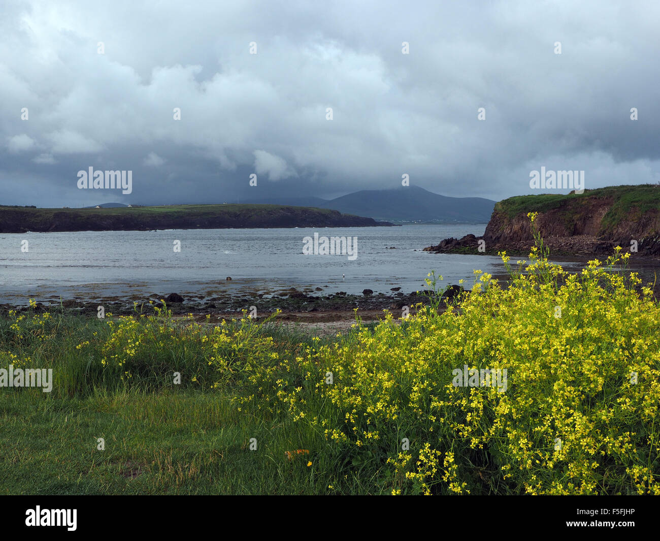 Picturesque view of Feohanagh Bay on Dingle peninsula near Ballydavid ...