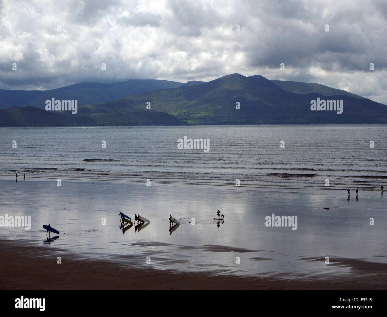 Dramatic reflections of surfers carrying boards across wet sand on Inch ...