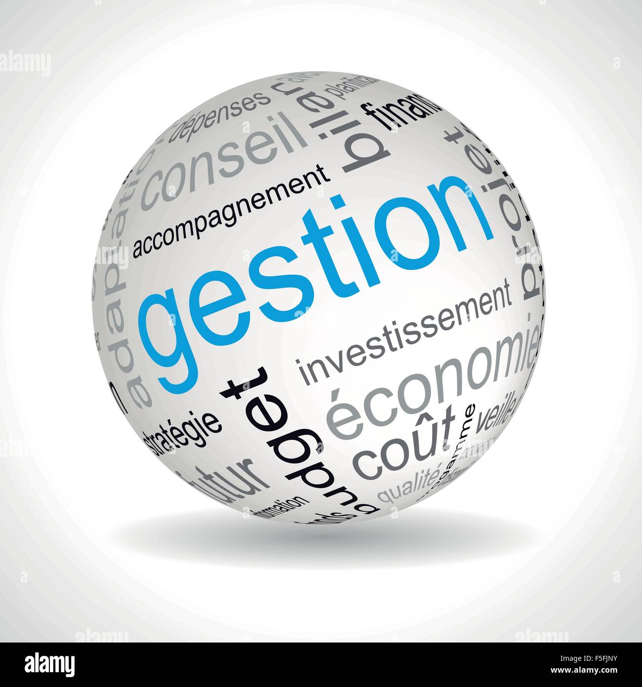 French management theme sphere with keywords full vector Stock Vector ...