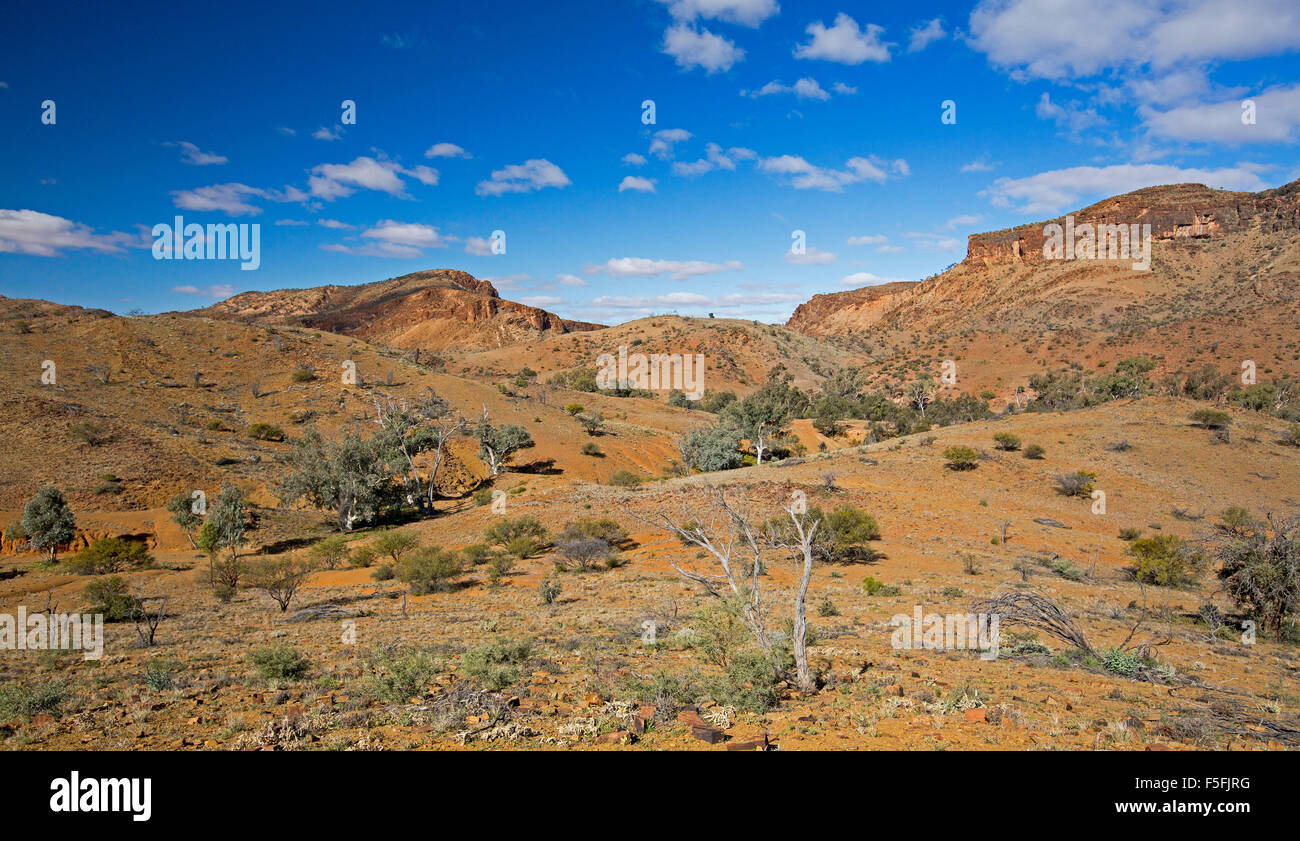 Panoramic outback landscape in Flinders Ranges with barren red stony ...