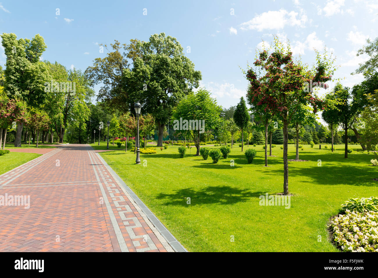 Pavement in the park Stock Photo - Alamy