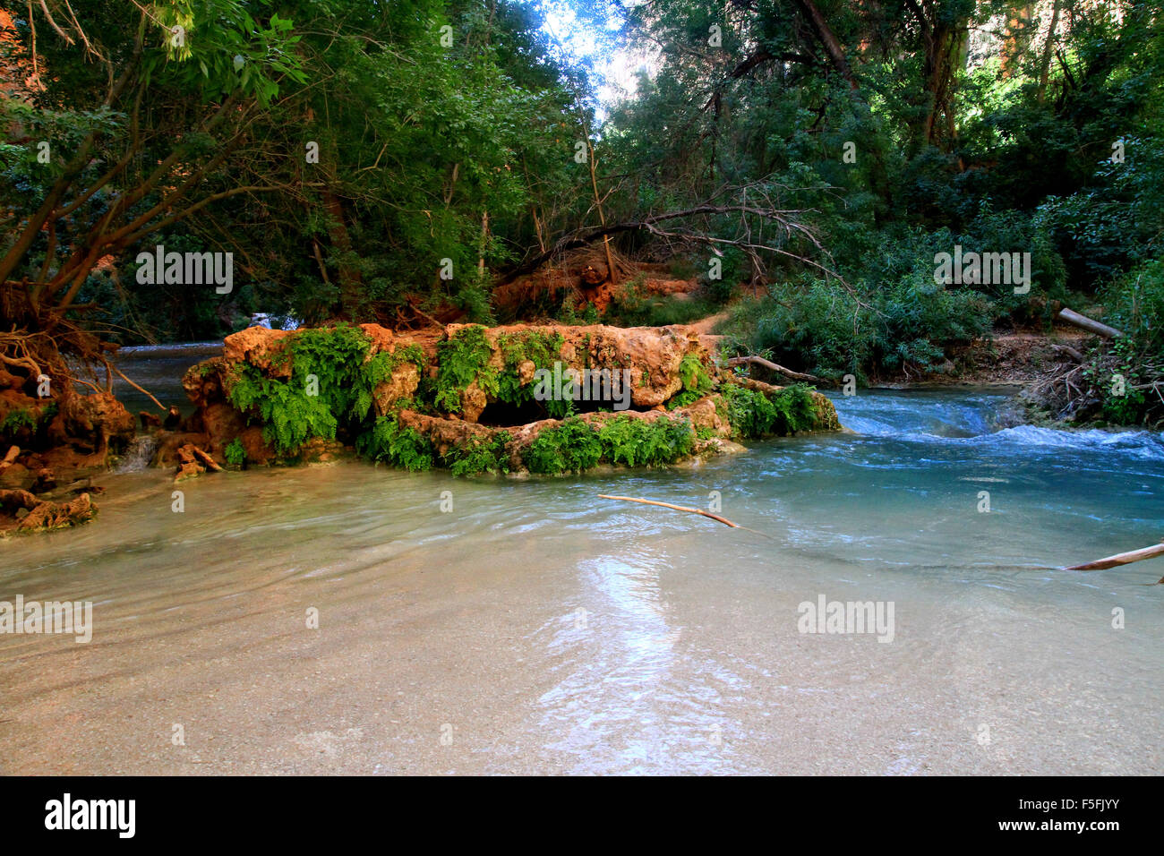 Havasupai indian reservation hi-res stock photography and images - Alamy