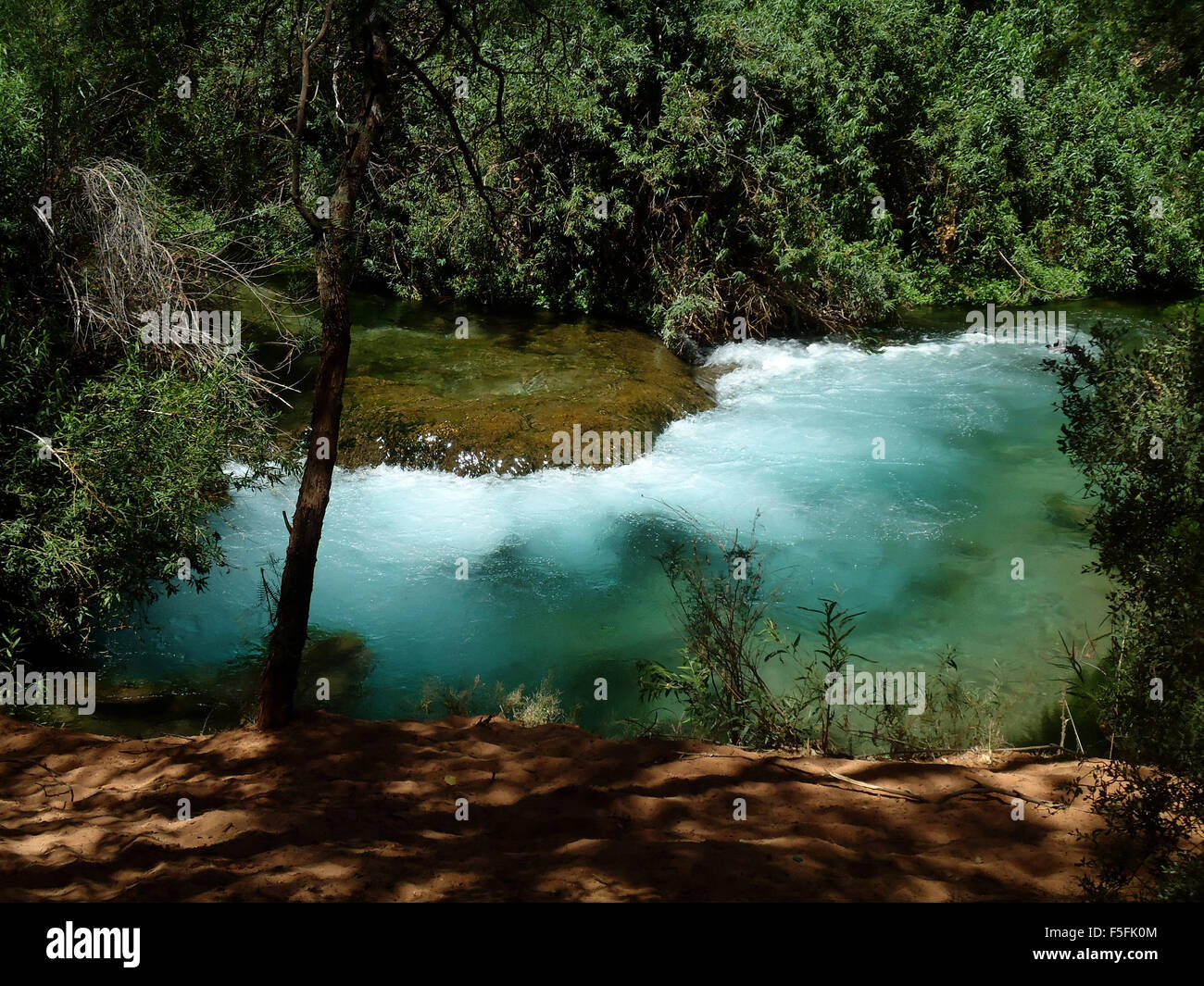 Beautiful mooney falls hike hi-res stock photography and images - Alamy