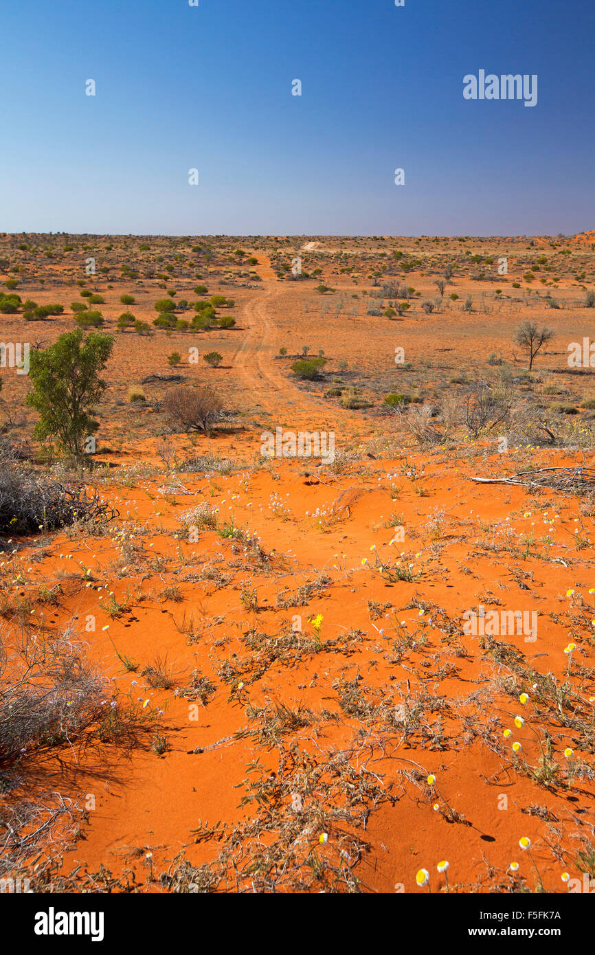 Vast arid desert landscape with track across vast red barren outback ...