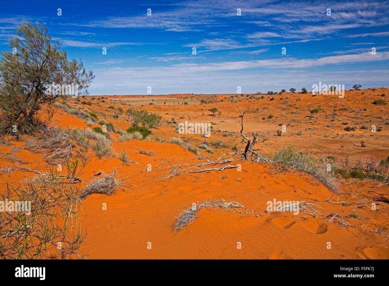 Vast Arid Desert Landscape Of Red Sand Dunes And Vast Barren Treeless