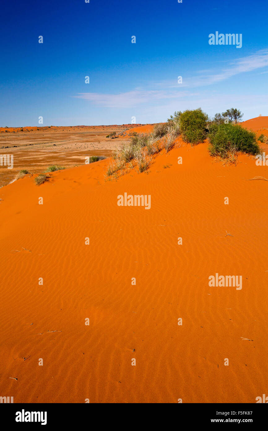 Vast arid desert landscape of red sand dunes & vast barren treeless ...