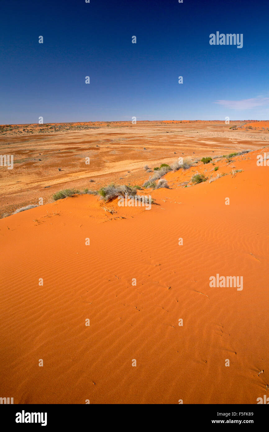 Vast arid desert landscape of red sand dunes & vast barren treeless ...