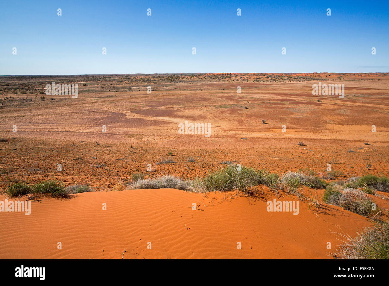 Vast arid desert landscape of red sand dunes & vast barren treeless ...