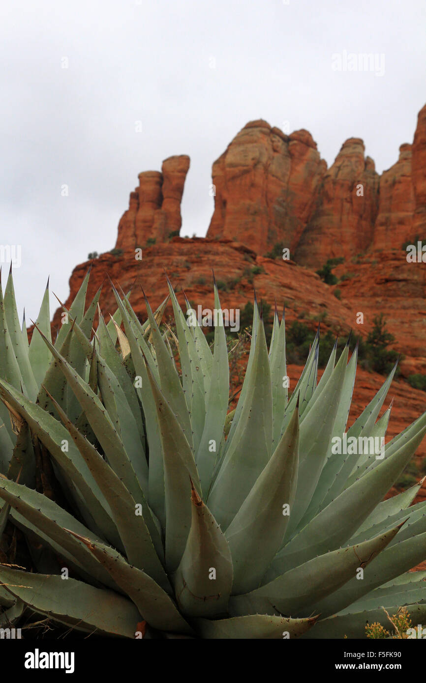 Cathedral rock sedona az hi-res stock photography and images - Alamy