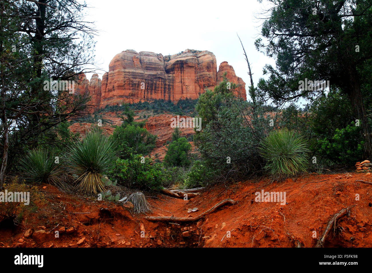 Coconino sandstone formation hi-res stock photography and images - Alamy