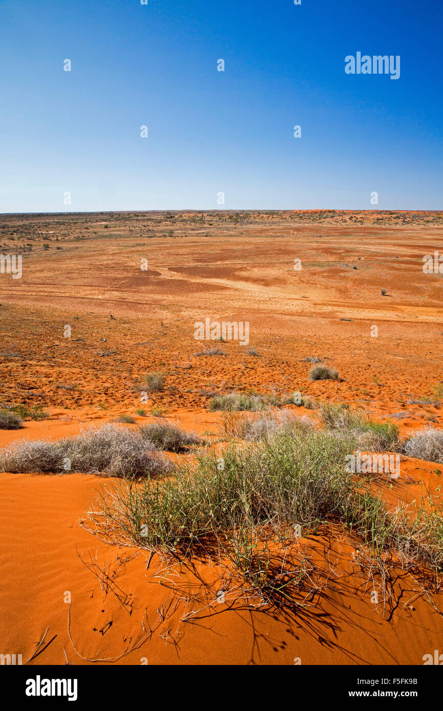 Vast arid desert landscape of red sand dunes & vast barren treeless ...
