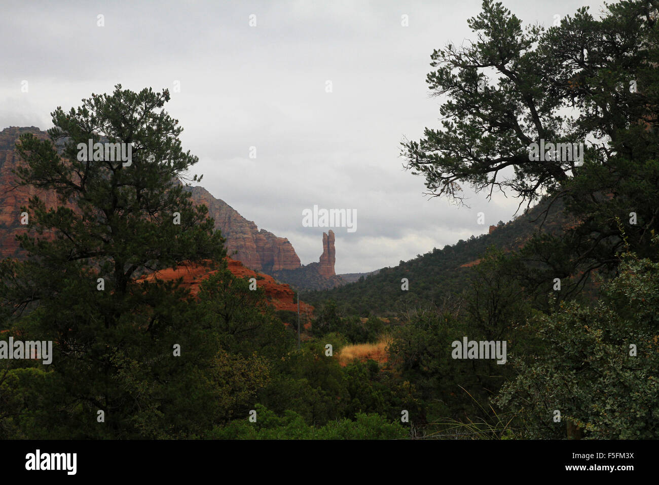 Coconino national forest hi-res stock photography and images - Alamy