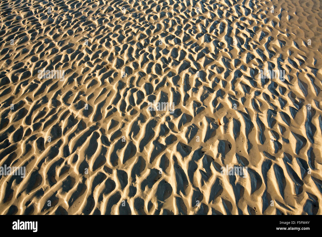 Random natural artistic pattern created by wave and tidal action of ...