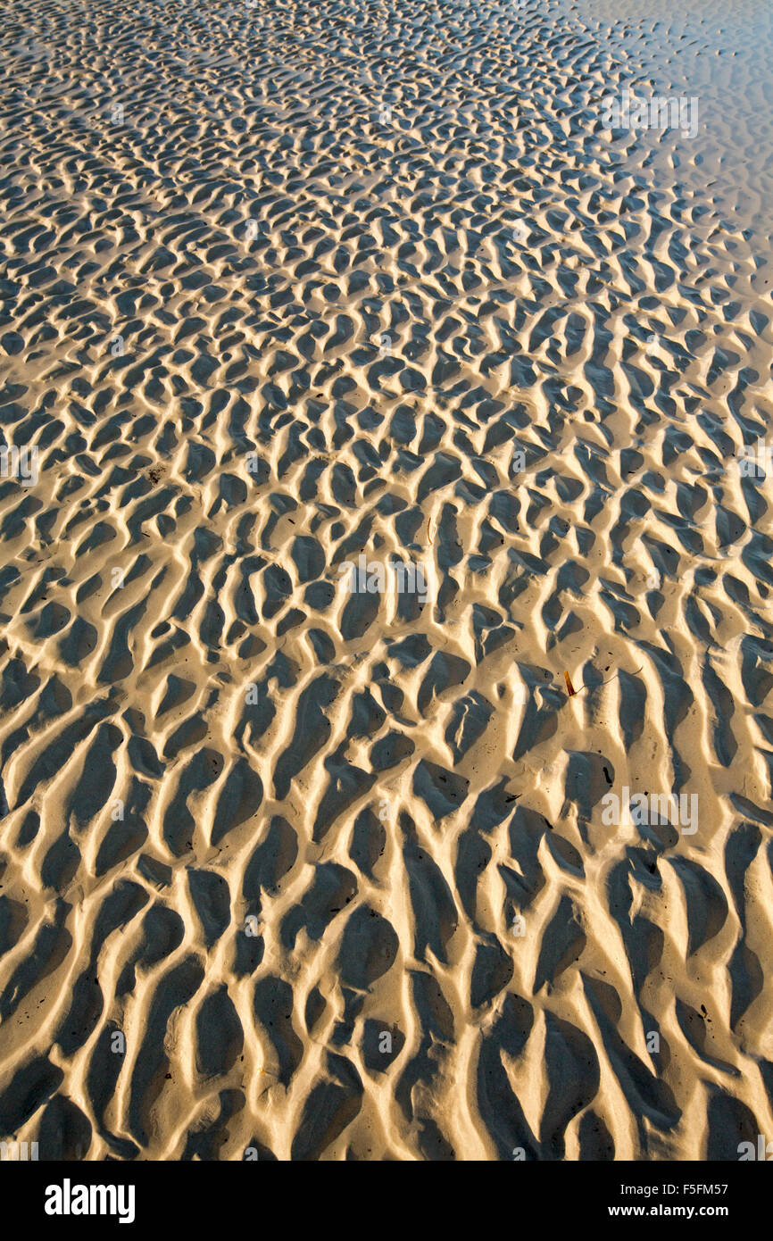 Nature Beach Sand Pattern Close Up Of Sand On The Beach · Free Stock