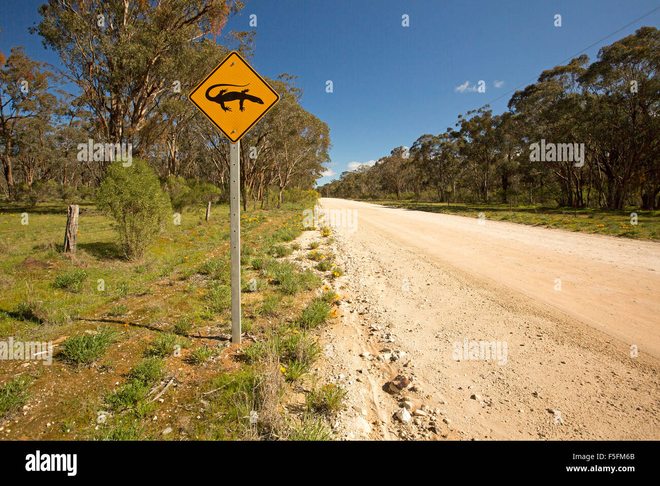 Sign warning of presence of monitor lizards, goannas, crossing gravel ...