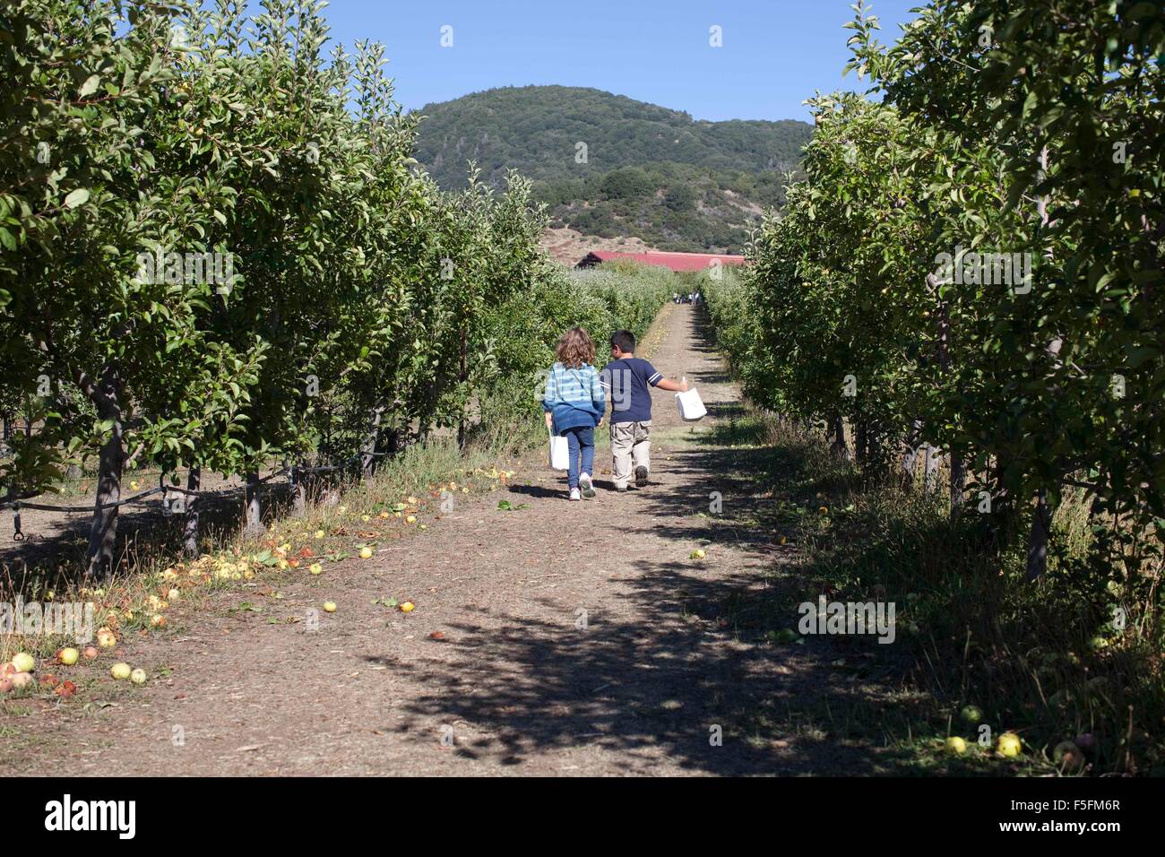 Julian, California, USA. 08th Oct, 2011. Children walk through the ...