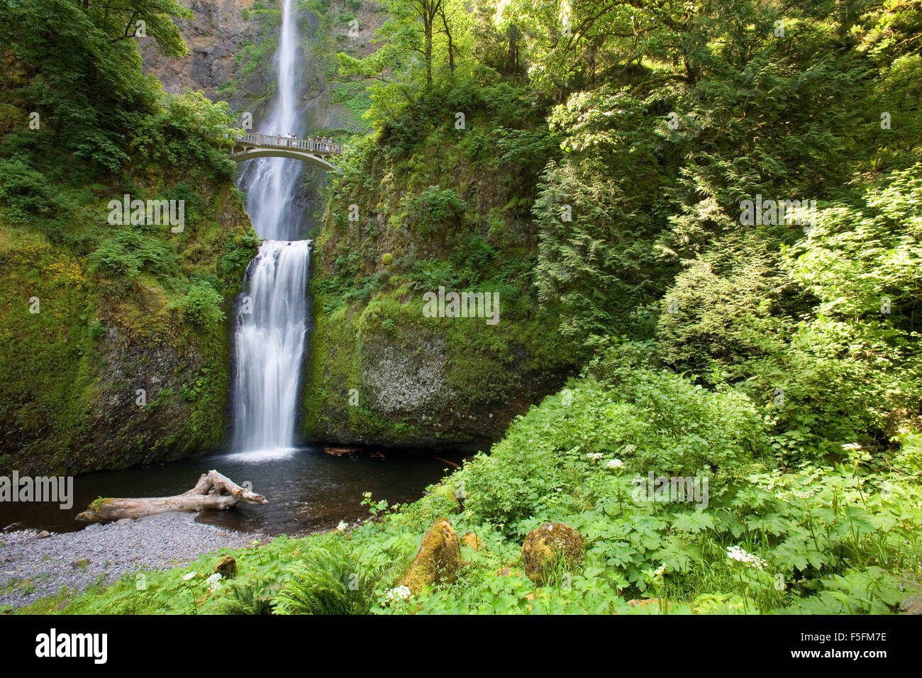 Portland, Oregon, USA. 01st June, 2007. Multnomah Falls. The gorge ...