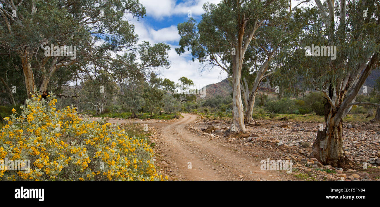 Panoramic view of stony outback landscape with narrow track winding ...