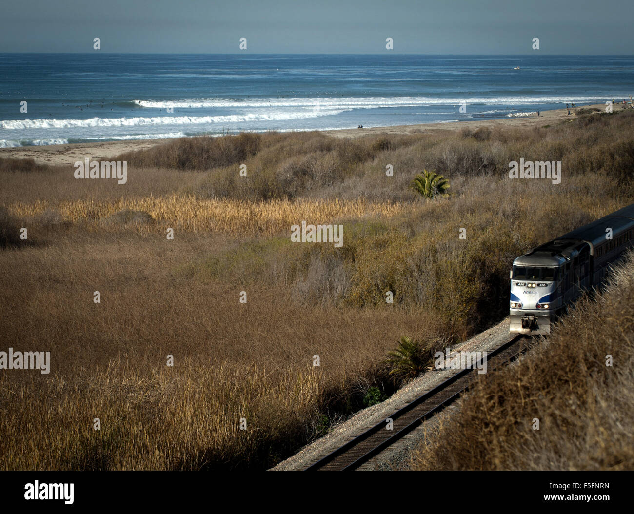 Pacific waves through dark trees hi-res stock photography and images ...