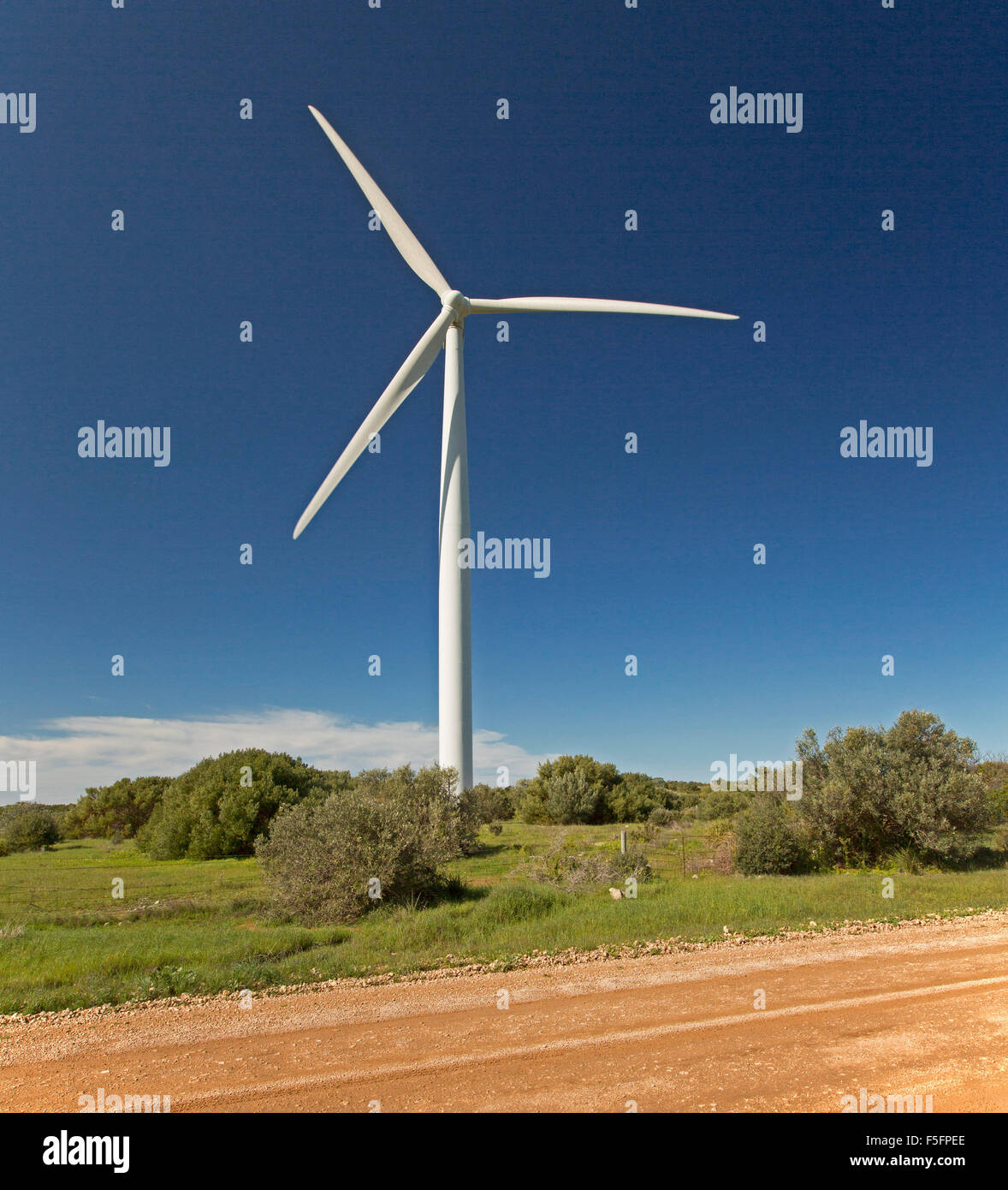 Wind turbine rising among native vegetation beside road into blue sky ...