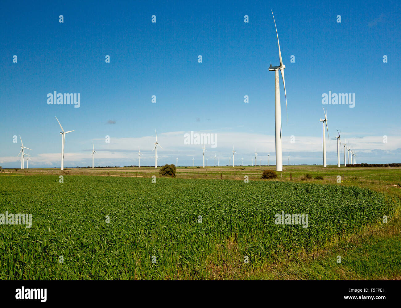 Farm crops wind turbines hi-res stock photography and images - Alamy