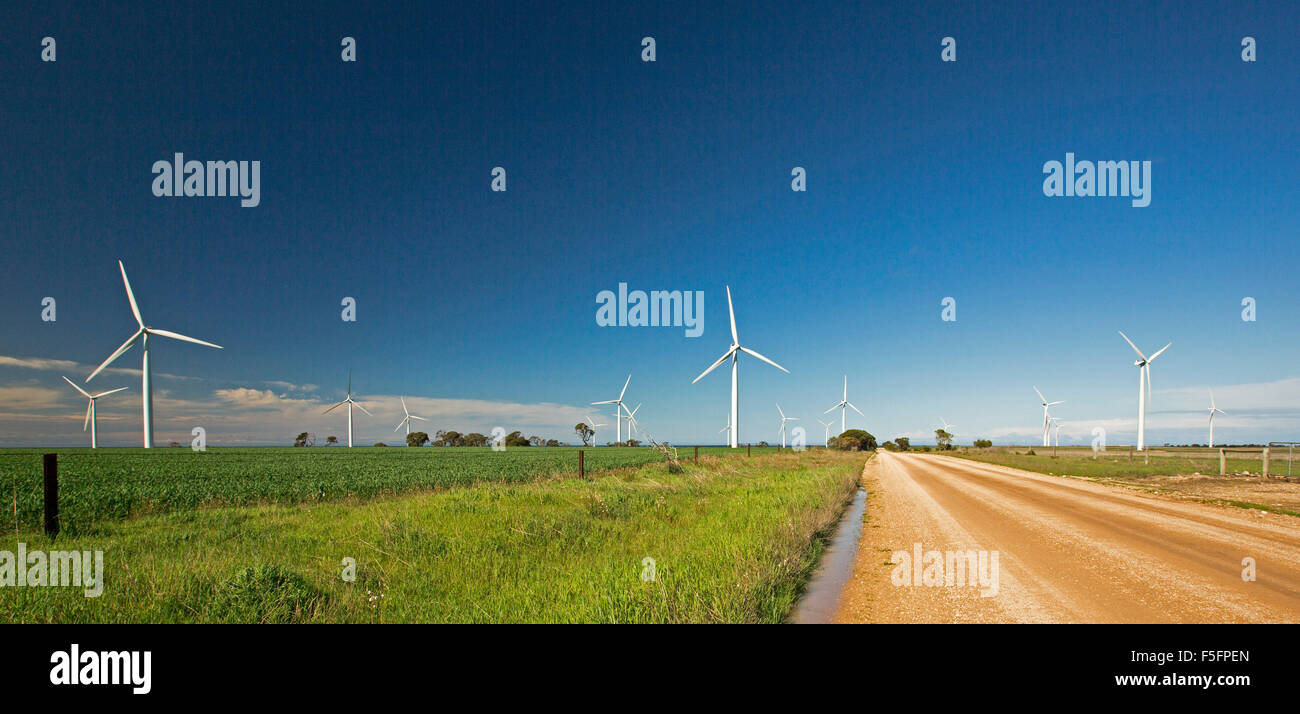 Panoramic view of wind turbines among field of green wheat beside road ...