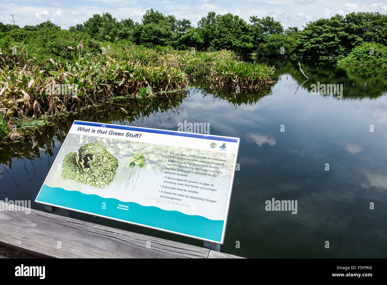 Delray Beach Florida,Wakodahatchee Wetlands,nature preserve,freshwater ...