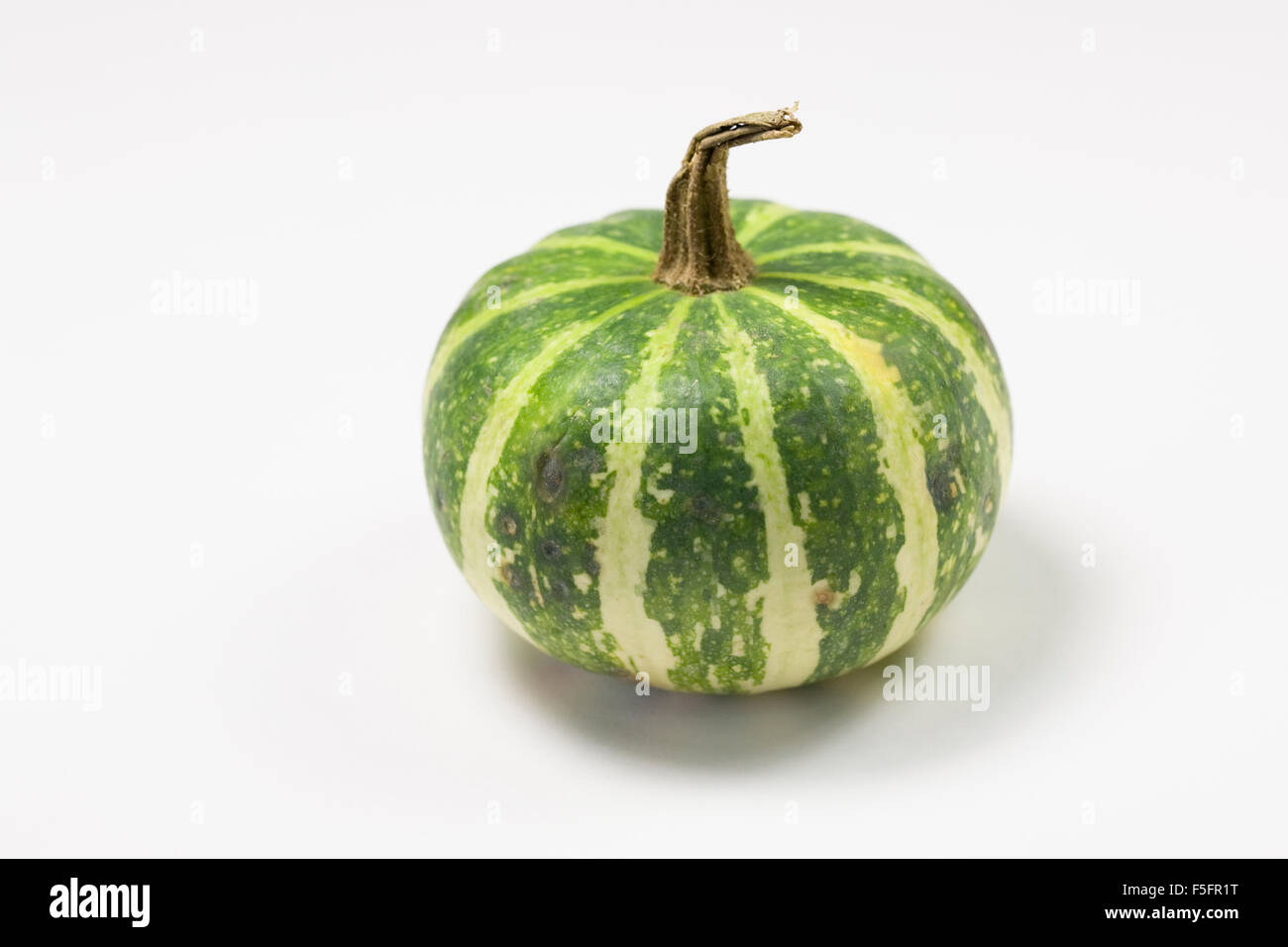 Cucurbita. Miniature green squash on a white background Stock Photo - Alamy