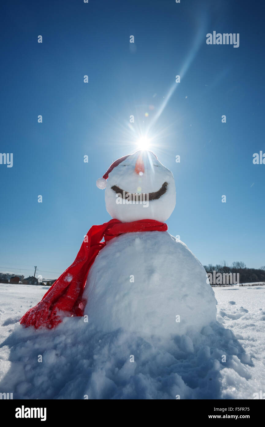 snowman look in sky and wait spring Stock Photo - Alamy