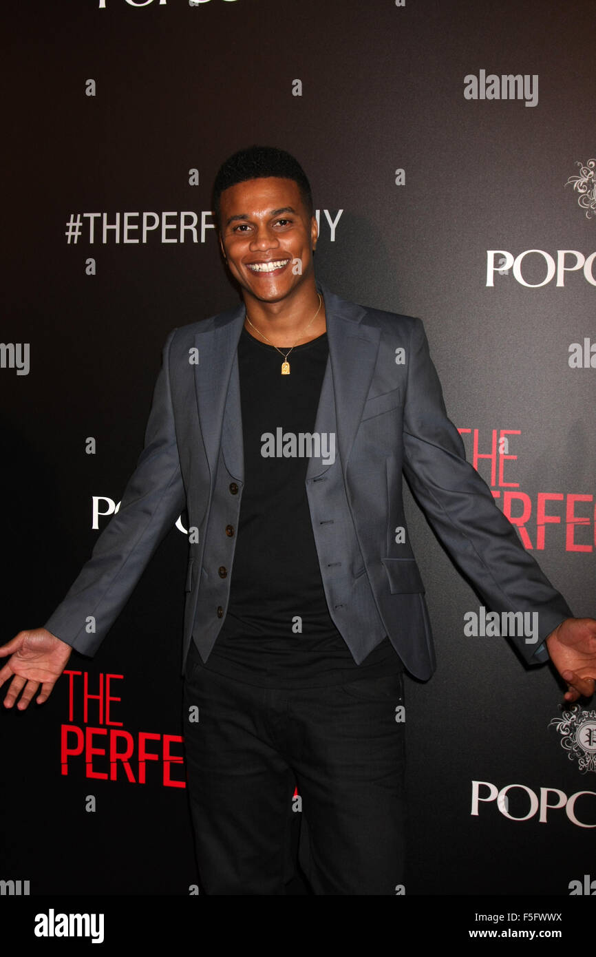 Los Angeles Premiere of Screen Gems' 'The Perfect Guy' at The WGA ...