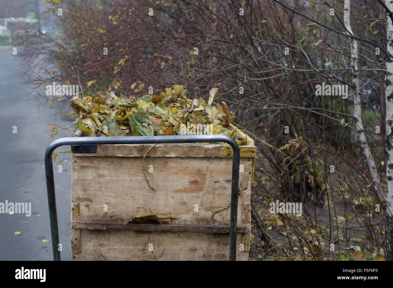 Trolley full of autumn leaves Stock Photo - Alamy