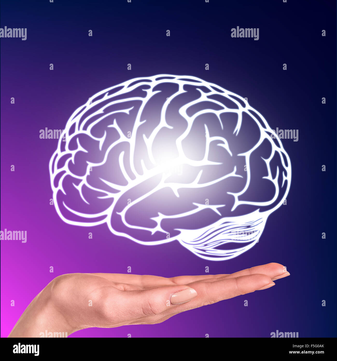 Human brain memory icon hi-res stock photography and images - Alamy