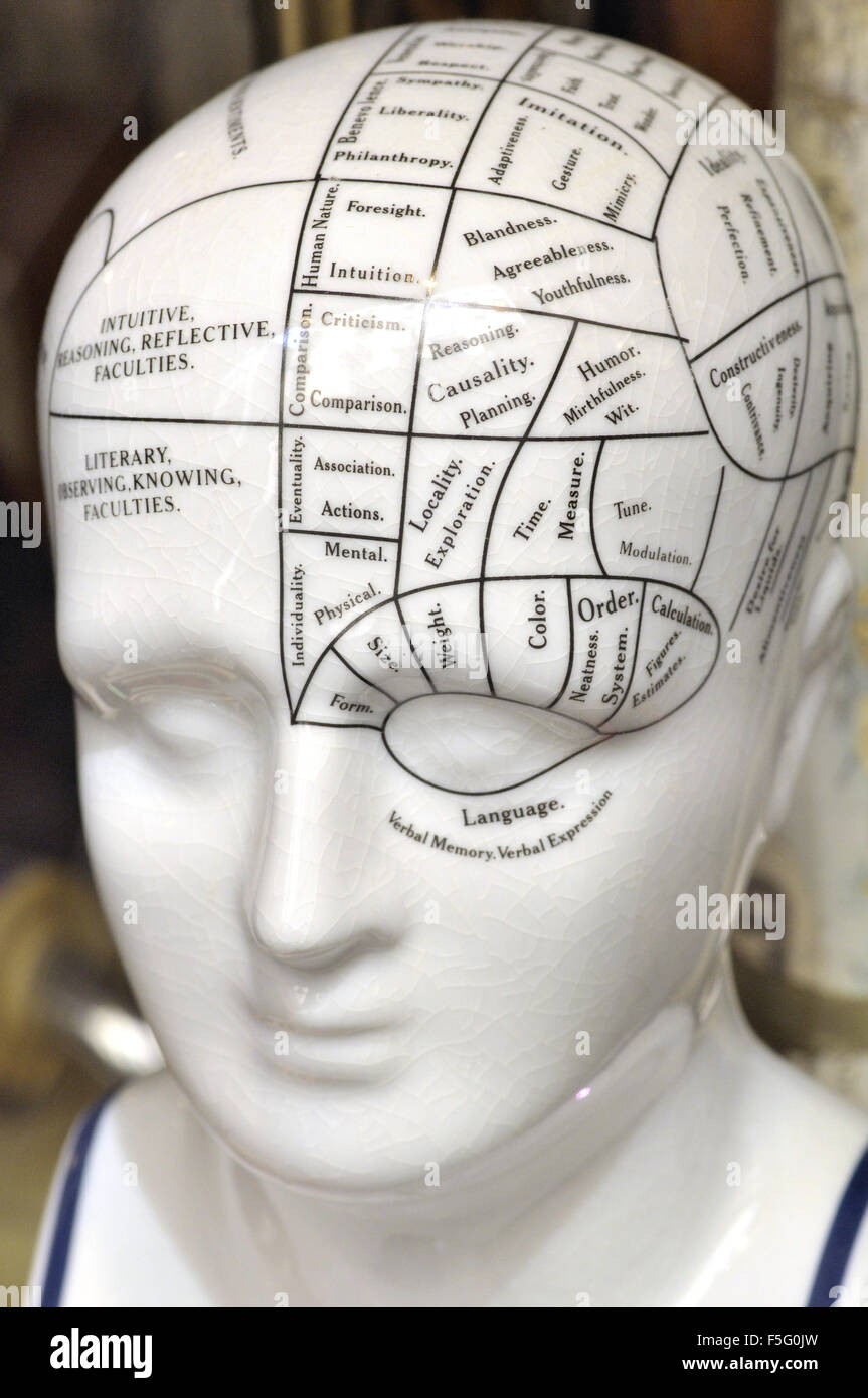 Phrenology heads hi-res stock photography and images - Alamy