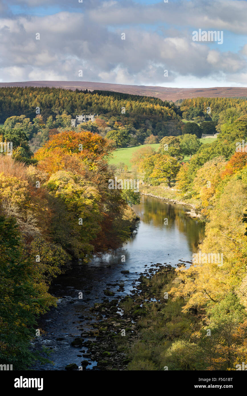 Barden Tower and the River Wharfe from Strid Wood, The Yorkshire Dales ...